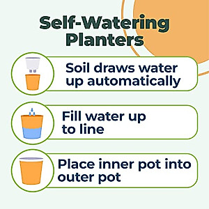 Window Garden Sow Much Fun Seed Starting, Flower Planting and Growing Kit for Kids, 3 Self Watering Planters, Soil, Indoor Outdoor Usage,Seeds and Puffy Stickers. (Marigold)