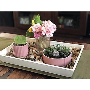 Chesapeake Bay Candle PT42079 Candle, Multi-Wick Ceramic, Lavender Mint Leaf, Home Décor