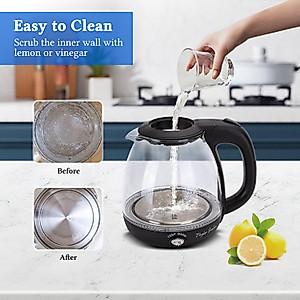 Electric Kettle with Tea Infuser, Small Electric Tea Kettle with Keep Warm Function for Home and Office, Black Taylor Swoden