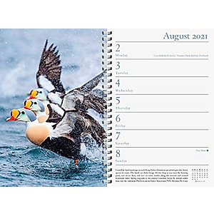 Audubon Engagement Calendar 2021