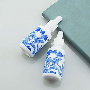 Wwolife 4 PCS 1 2/3oz (50ml) Blue and White Porcelain Ceramic Dropper Bottles Perfume Aromatherapy Cosmetic Container Essential Oils Sample Empty Dropper Bottles with Funnel Include