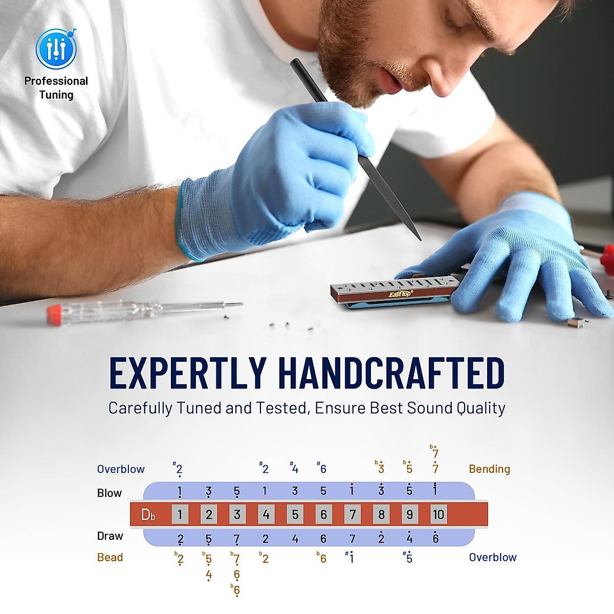 East top Diatonic Harmonica Key of Db, 10 Holes 20 Tones Diatonic Blues Harp Mouth Organ 008K Harmonica with Blue Case, Standard Harmonica For Adults, Professionals and Students