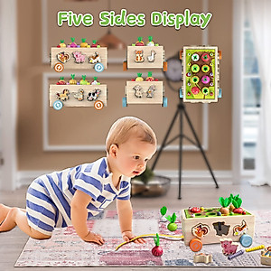 Achiyway Montessori Toys for Baby Boys Girls Age 2 3 4 5 Year Old, Wood Preschool Learning Fine Motor Skills Game, Baby Educational Toddler Toys (Animals car Toy)