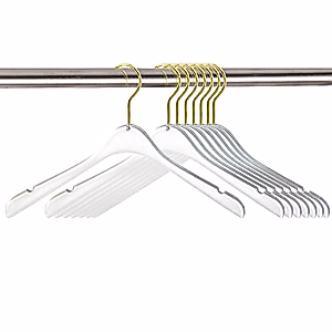 Nisorpa 10 Pack Acrylic Clear Hangers, Acrylic Crystal Clothes Hangers Clothing Standard Hangers with Gold Swivel Hook & Non-Slip Notches for Suit Coat Sweater Jacket Blouse Dress Skirts Shirts