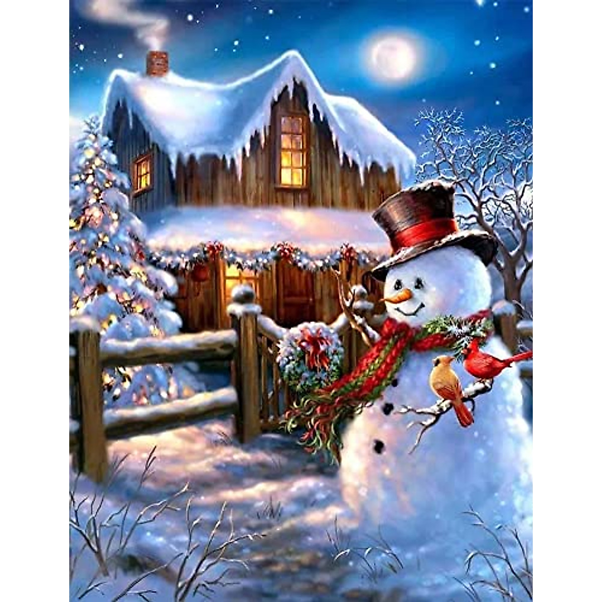 DoMyArt Diamond Painting Kits for Adults, Paint with 5D Crystal Diamonds Art with Accessories Tools(Canvas 15.7 x 11.8 inch) (Christmas Snowman)