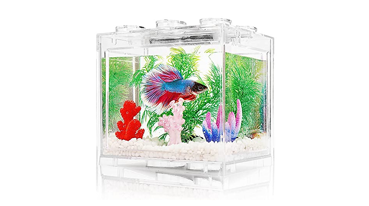 Small Betta Fish Tank Kit with LED Light - 3/5 Gallon