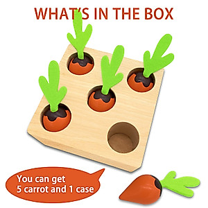 Doyolta Montessori Toys for Toddlers 4 Years Old, Shape Sorting Matching Puzzle Toy with Carrots Travel Toys in Tin Box for 4 Year Old Gifts for Boys Girls