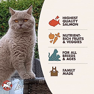 Fromm Four-Star Nutritionals Salmon Tunachovy Cat Food - Premium Dry Cat Food - Salmon Recipe - 10 lb