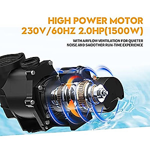 BRIOPAWS 2HP Dual Speed Pool Pump, 6420GPH Flow, 66FT Head Lift, 1.5" and 2" Fittings, Self-Priming Water Pump for Inground/Above Ground/Seawater Pools and Hot Tubs, ONLY 230V 60HZ AC