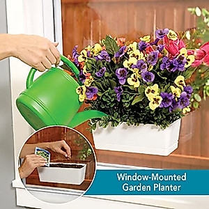 Product Trend Blooming Shelf for Window-Mounted Herbs, Grow Flowers, Succulents, and Vegetables, Indoor Rectangular Planter with Drainage Holes, 4 Inches x 11.2 Inches x 5.3 Inches, White, Pack of 2