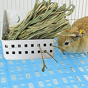 Rabbit Hay Feeder Large Hay Manger Holder for Bunny Guinea Pig Chinchilla (12.5 X 4.5 X 5.3 inch)