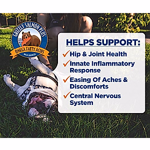Grizzly Salmon Plus Omega Fatty Acids Food Supplement for Dogs & Cats (Various Sizes) - Wild-Sourced Omega 3-6-9, Wild Alaskan Salmon Oil (64 Fl Oz)