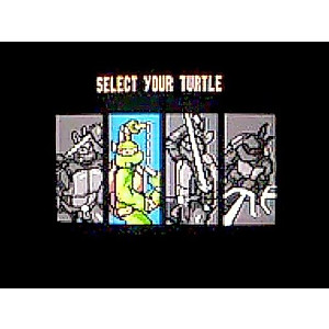 Teenage Mutant Hero Turtles the Coin-up