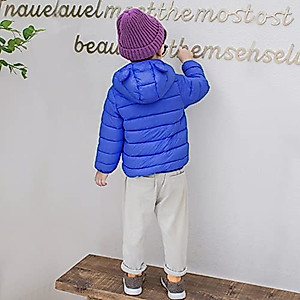 XMWEALTHY Baby Boys Girls Winter Coats Toddler Light Puffer Down Jacket Infant Kids Bear Hoods Padded Outwear Blue 12-18 Months