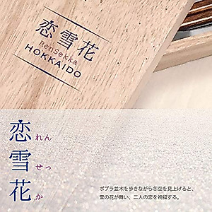 Rensekka couple chopsticks box set made in Japan Hokkaido gift Wakasa lacquerware