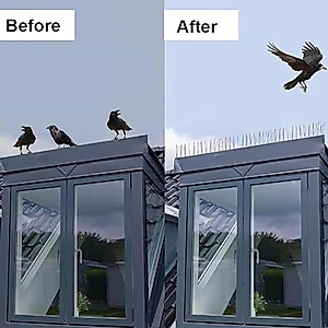 Cabilock Bird Spikes Stainless Steel Bird Blinder Bird Repellent Deterrent Spikes for Pigeons Birds