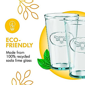 Amici Home Bee Hiball Glass | 16 Oz | Italian Made, Recycled Glass with Green Tint | Drinking Glass with Embossed Bee Design for Water, Juice, Cocktails (Set of 6)