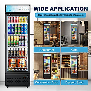 FreezLabs Glass Door Refrigerator Commercial Beverage Refrigerators with LED Light, 12 cu.ft and 5 Shelves, Display Refrigerator for Cafe Restaurant Store Bar, ETL/NSF Approved
