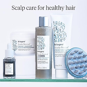 Briogeo Scalp Revival Soothe + Detoxify Minis Kit, Soothe a Dry, Flaky, Itchy Scalp, Clarify Build Up, Scalp Detox, Unclog Hair Follicles,Travel Kit, Vegan, Cruelty-Free, 4-Piece Set