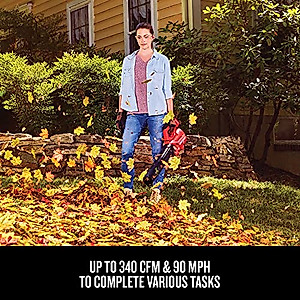 CRAFTSMAN 20V MAX WEEDWACKER String Trimmer and Leaf Blower Combo Kit, Battery and Charger Included (CMCK197M1 )