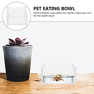 balacoo 2pcs Acrylic Reptile Terrarium Reptile Aquarium Breeding Tank Transparent Reptile Feeding Box Bathing Pool for Frogs Hermit Crabs Lizards Tank