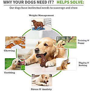 Dog Toys for Aggressive Chewers, Indestructible Durable Dog Chew Toys, Non-Toxic Food Grade Nylon Dog Bone Toy Reduces Boredom, Tested by Labrador, Golden Retriever, More Small Medium and Large Breed