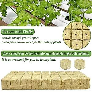 Halatool 1.2 inch Rockwool Cubes Garden Stonewool Grow Cubes Starter Plugs for Hydroponics Soilless Cultivation Seedlings Cuttings Clone Plants (4 Sheets, 144 Plugs in Total)