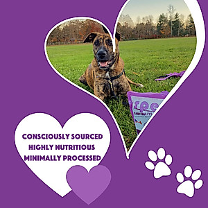 Speak Pet Products Treats Dog Baby Bullys, Natural Gluten and Grain Free Low Calorie 5 Inch Beef Chews for Small Breeds, Perfect Alternative for Rawhide, 24 Count