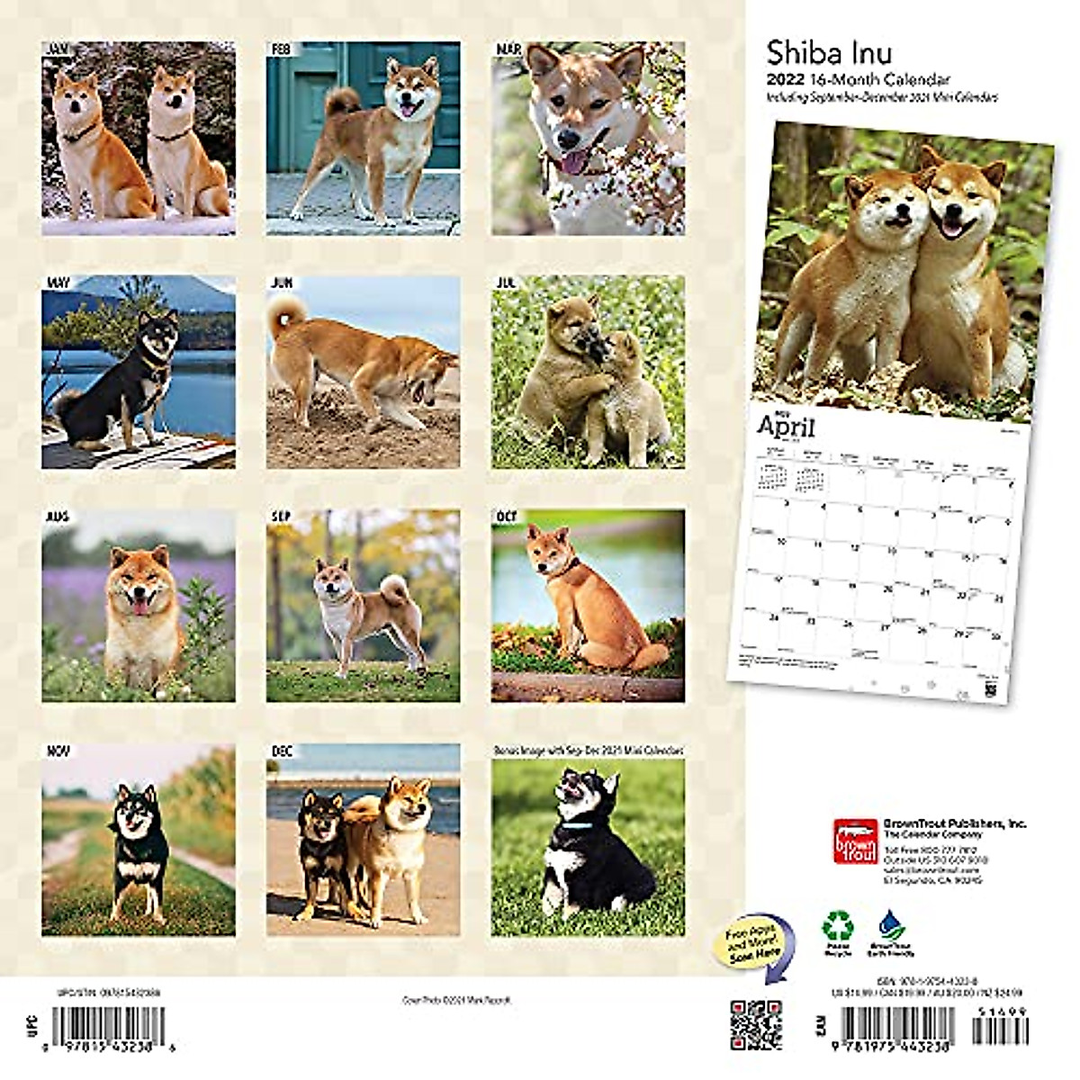 Shiba Inu 2022 12 x 12 Inch Monthly Square Wall Calendar, Animals Asian Dog Breeds DogDays