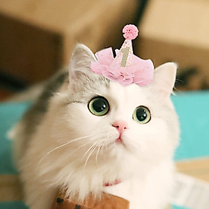 LINLULU Mini Birthday Hat Headband - First Birthday Hat, 1st to 3rd Birthday Hat Headband, Newborn Headbands for Girls, Pet Birthday Hat