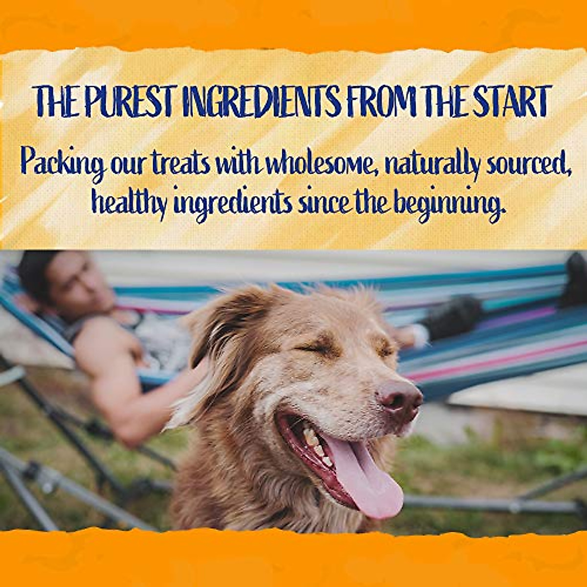 Blue Dog Bakery, Natural Dog Treats, Chicken Bites, USA Chicken, Grain Free, 7.8-Ounce Pouch, (Pack of 1)