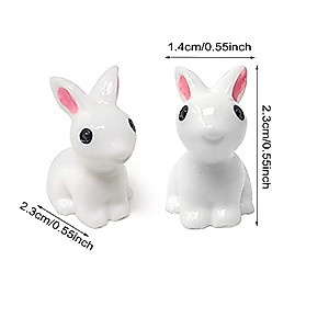HONBAY 20PCS Resin Cute Rabbit Miniature Figurine Micro Landscape Decorations Fairy Gardens DIY Ornaments Decorations Succulents Plant Decoration Bunnies Cake Topper