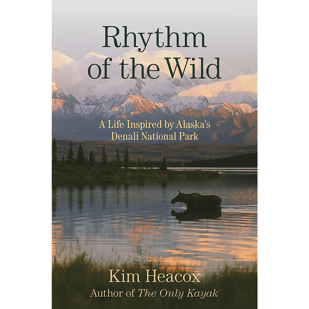 Rhythm of the Wild