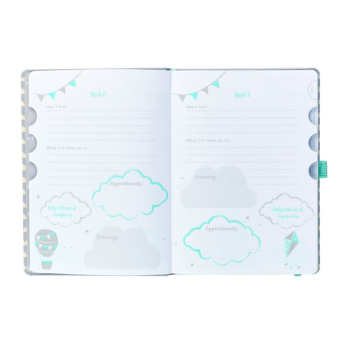 Busy B 6591 Clouds Pregnancy Journal Book