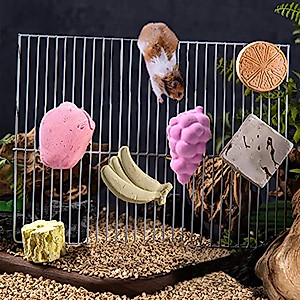 Lava Block Chew Toys Teeth Grinding Pet Lava Block Calcium Stone for Chinchilla Hamster Mouse Squirrels and Small pet 4 Pack