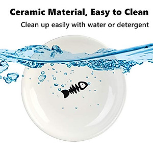 Cat Bowl-Raised Cat Food Bowl,Elevated Cat Feeder Bowl Stand, Food & Water Anti Vomiting Shallow Ceramic Cat Dish, with Non-Slip Mat Pet Bowl for All Cat1