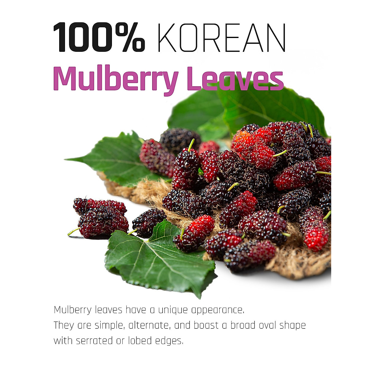 Mulberry Leaves Tea 1g X 40 Tea Bags, Korean Herb Leaves