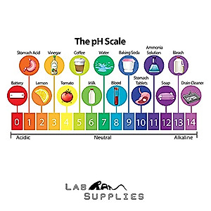 Plastic pH Test Strips, Universal Application (pH 4.5-9.0), 100 Strips | for Urine, Saliva, Aquariums, etc.