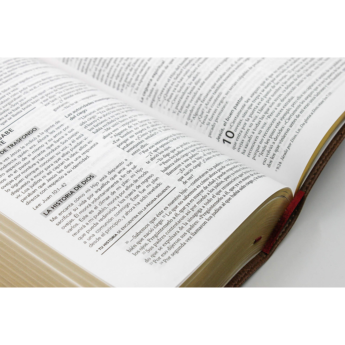 Personalized Bible Custom Text Your Name Santa Biblia La Historia NVI (Spanish Edition) Custom Made Gift for Baptisms Christenings Birthdays Celebrations Holidays