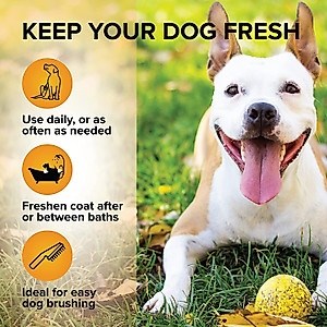 Hyalogic HyaFlex Pro Complete Dog Joint Supplement and Coat Conditioning Spray 4oz for Dogs, Cats, Pets with Hyaluronic Acid HA and Biotin