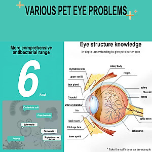 VEZE Eye Drops for Dogs, Dog Eye Drops & Cats, Gentle Dog Eye Infection Treatment, Relieves Dog Eye discomfort，Dog Eye Wash Relief Allergies Symptoms and Help Tear Stain Remover.