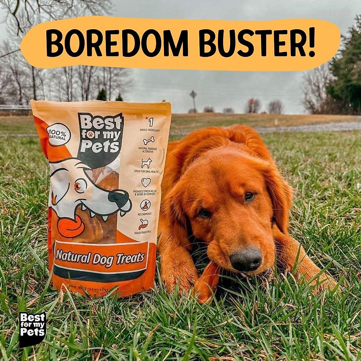 Best For My Pets Pig Ears for Dogs (Whole, 6 Pack), Healthy, Highly Digestible All Natural Pigs Ears Long-Lasting Dog Chews, Pork Dog Chew Treat