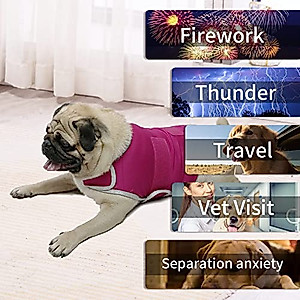 cattamao Dog Anxiety Relief Coat, Dog Anxiety Calming Vest Jacket for Thunderstorm,Travel, Fireworks,Vet Visits (Medium, Rose)
