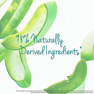 Carol's Daughter Wash Day Delight Sulfate Free Clarifying Shampoo and Deep Conditioner Gift Set with Aloe and Micellar - Best for Curly, Natural, and Textured Hair – Detangle and Moisturize