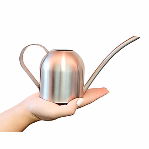 Itza 15 oz. Small Stainless Steel Metal Watering Can for Indoor, Outdoor Houseplants, Mini Watering Tool for Your Bonsai, Succulent & Orchid Plant Garden