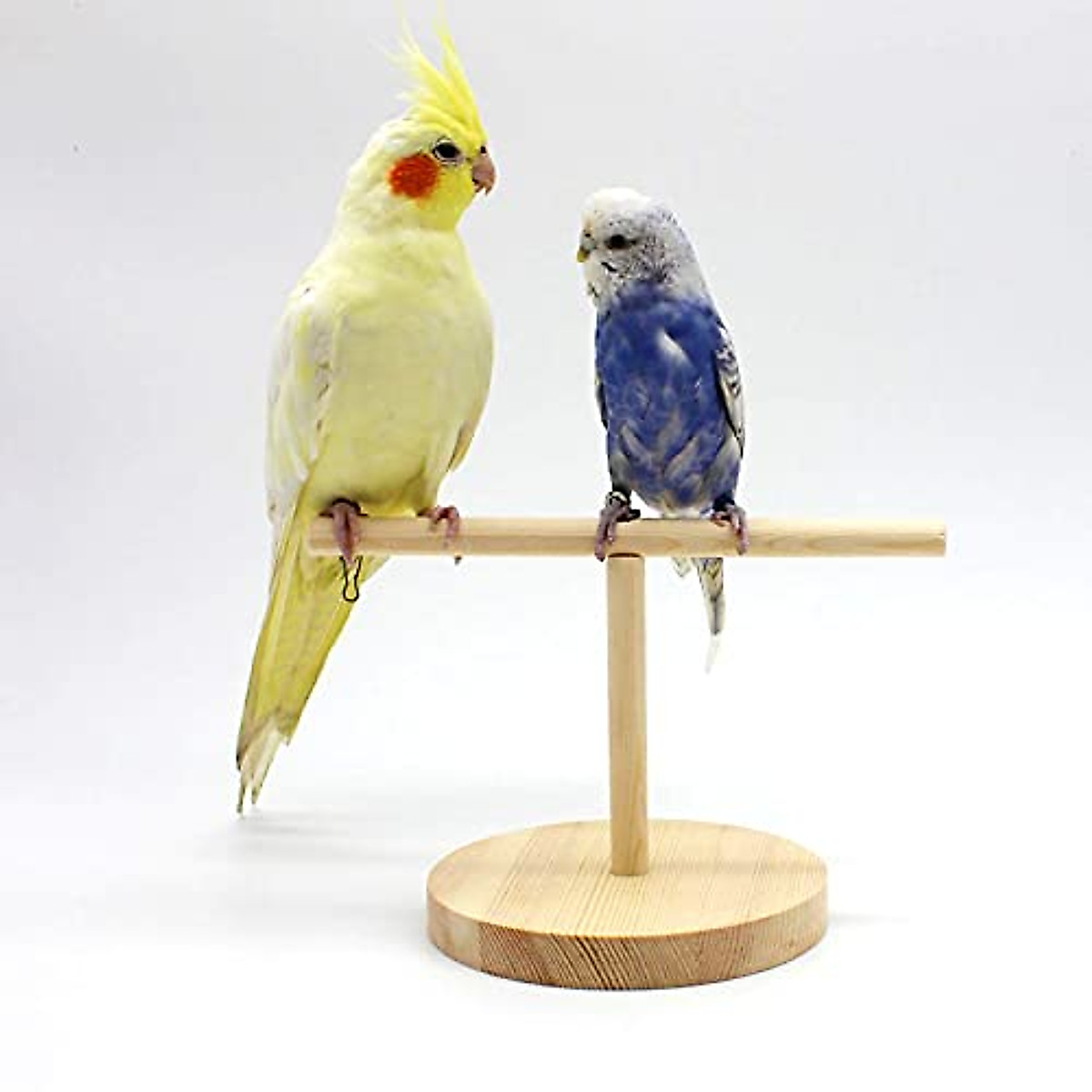 QBLEEV Bird Perch Parrot Wooden Stand，Bird Tabletop Standing Perches Play Stand Rack，Parrot Training Stick Travel Portable Pet Bird Carrier Stand for Parakeets Cockatiel Conure Budgie Lovebirds Finch