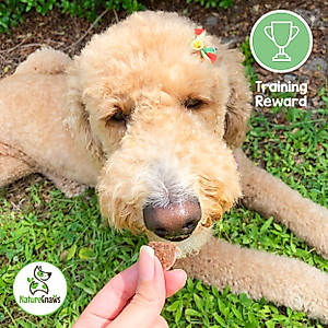 Nature Gnaws Fish Bites for Dogs - Natural Dog Treats – Premium Cod & Salmon Chewy Training Reward – 1 Lb