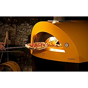 ALFA Allegro - Yellow - TOP ONLY - FXALLE-LGIA-T