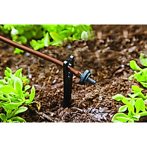 Raindrip SDFSTH1P Automatic Drip Irrigation Watering Kit with Timer for Flowers, Shrubs, and Trees, Waters up to 10 Plants, Includes Timer with Customizable Settings, 2 GPH Drippers