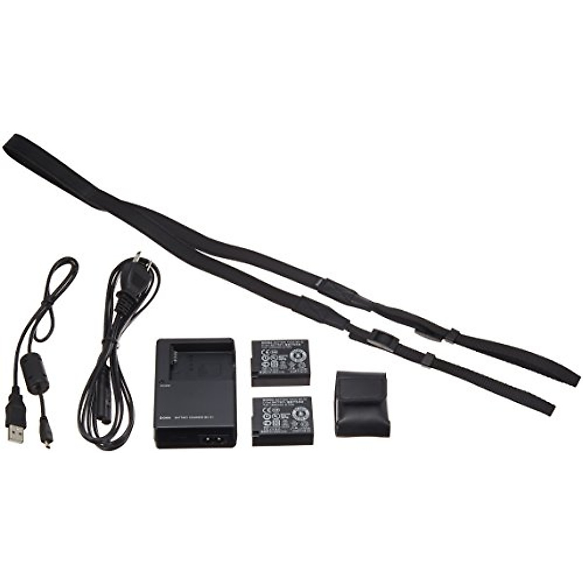 Sigma DP1 Quattro Compact Digital Camera